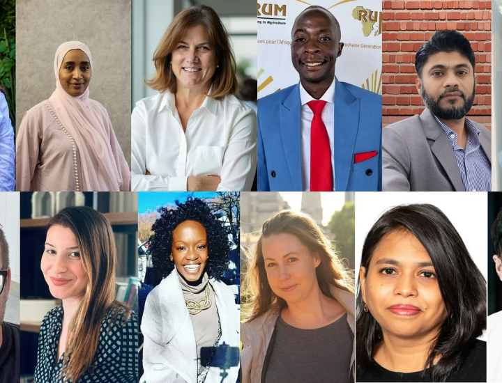 Solutions Journalism Network